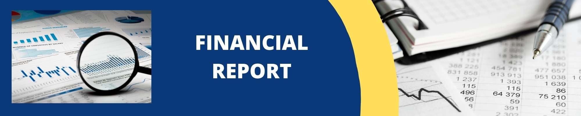 Annual Financial Report – AMCS